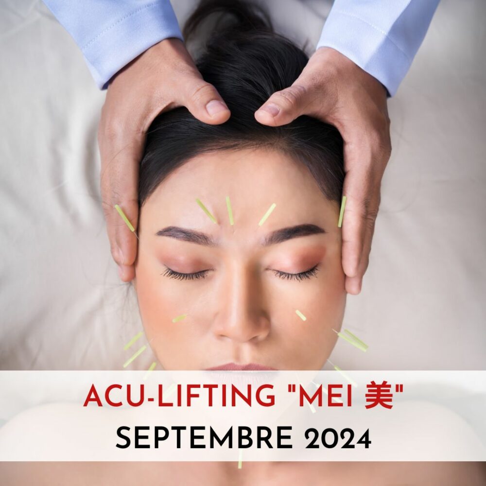 Pratique et enseignement de l'acupuncture