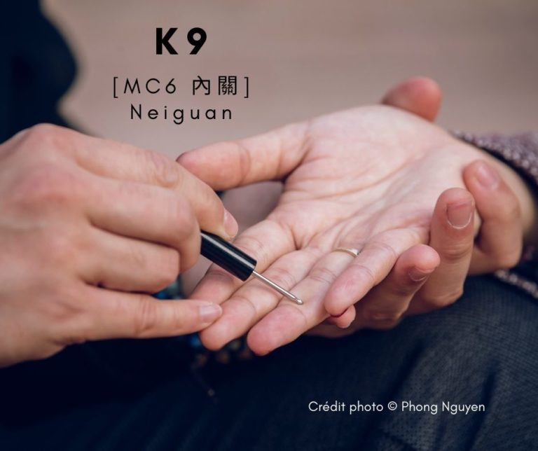 Pratique et enseignement de l'acupuncture