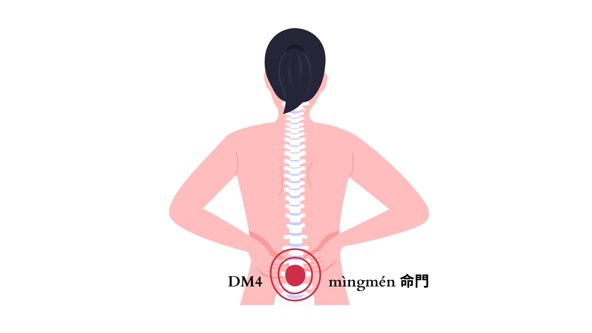Renforcer son immunité avec la médecine chinoise