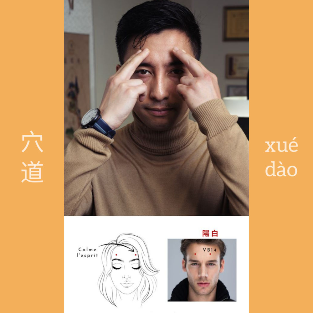 Pratique et enseignement de l'acupuncture